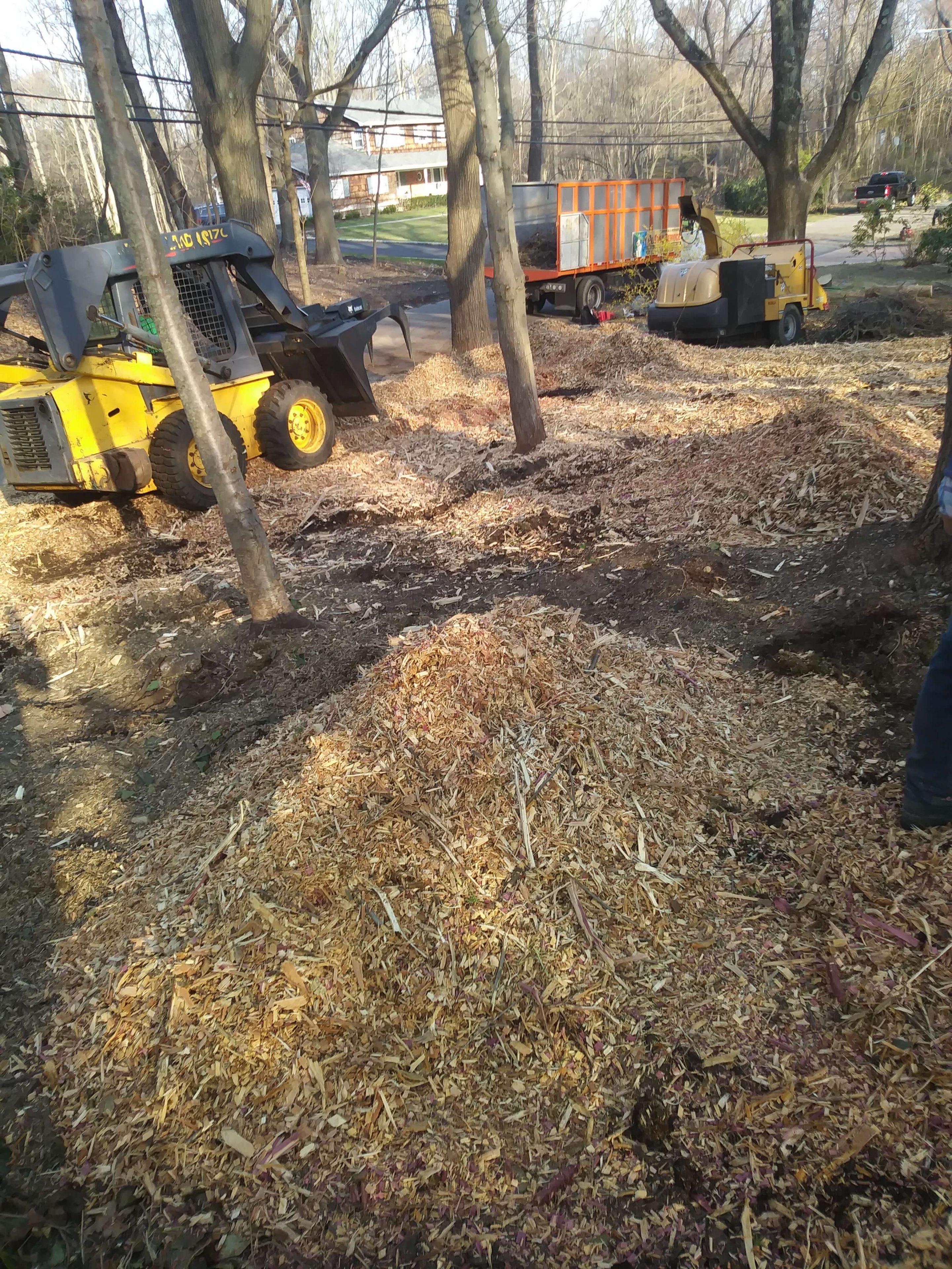 Tree Pruning tools to five essential-tree pruning tools guide local