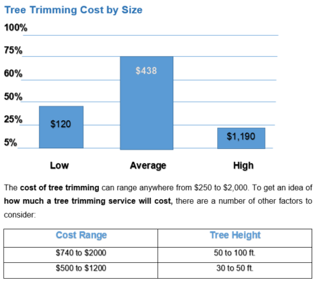 Tree Trimming & Pruning Cost - Expert Services How Get Estimate cost