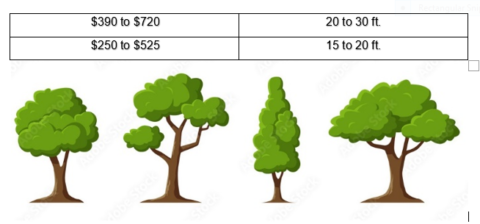 Tree Trimming & Pruning Cost - Expert Services How Get Estimate cost