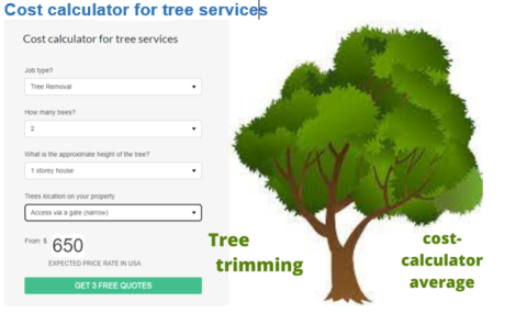 Tree Trimming & Pruning Cost - Expert Services How Get Estimate cost